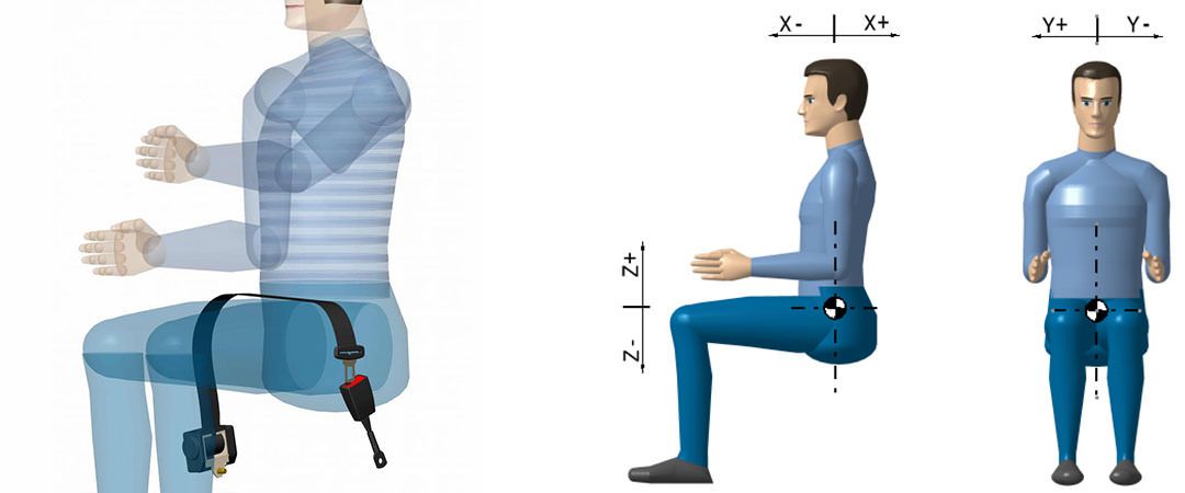 2-Punkt ALR (Automatic Locking Retractor) | Safety Belts